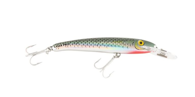 Esperance Fishing Spots, from Aussie Salmon to Black Bream