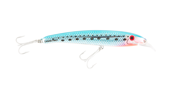 Mooloolaba fishing spots, find the best fishing spots on the Sunshine Coast