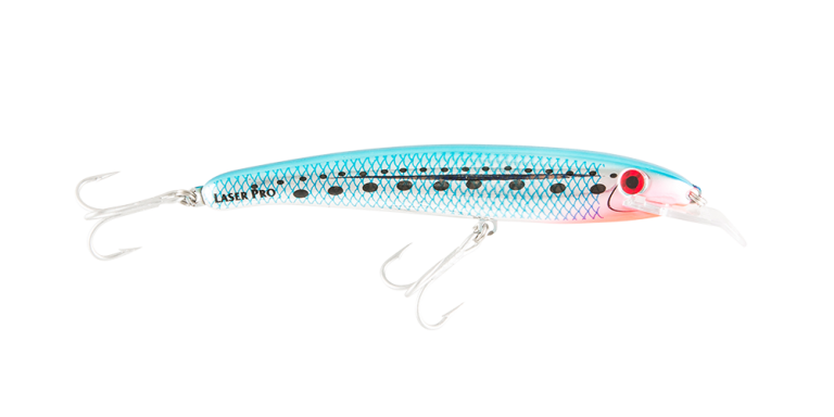 A detailed guide to Perth fishing spots. The best fishing spots in Perth