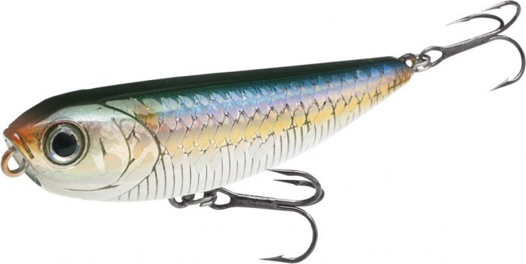 Mooloolaba fishing spots, find the best fishing spots on the Sunshine Coast